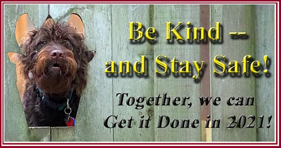 The Wisconsin Puppy Mill Project: Dedicated to Ending The Suffering of ...